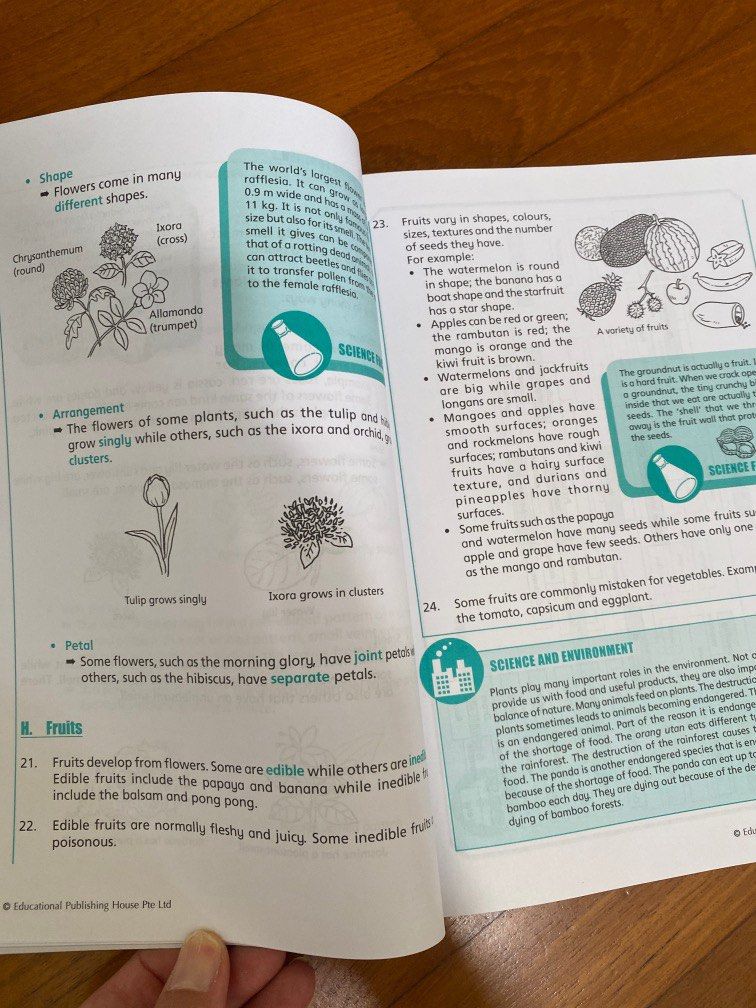 Primary 3&4 Ultimate Science Guide MOE syllabus, Hobbies & Toys, Books ...