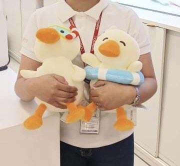 Duck Plush Toy by Miniso, Hobbies & Toys, Toys & Games on Carousell