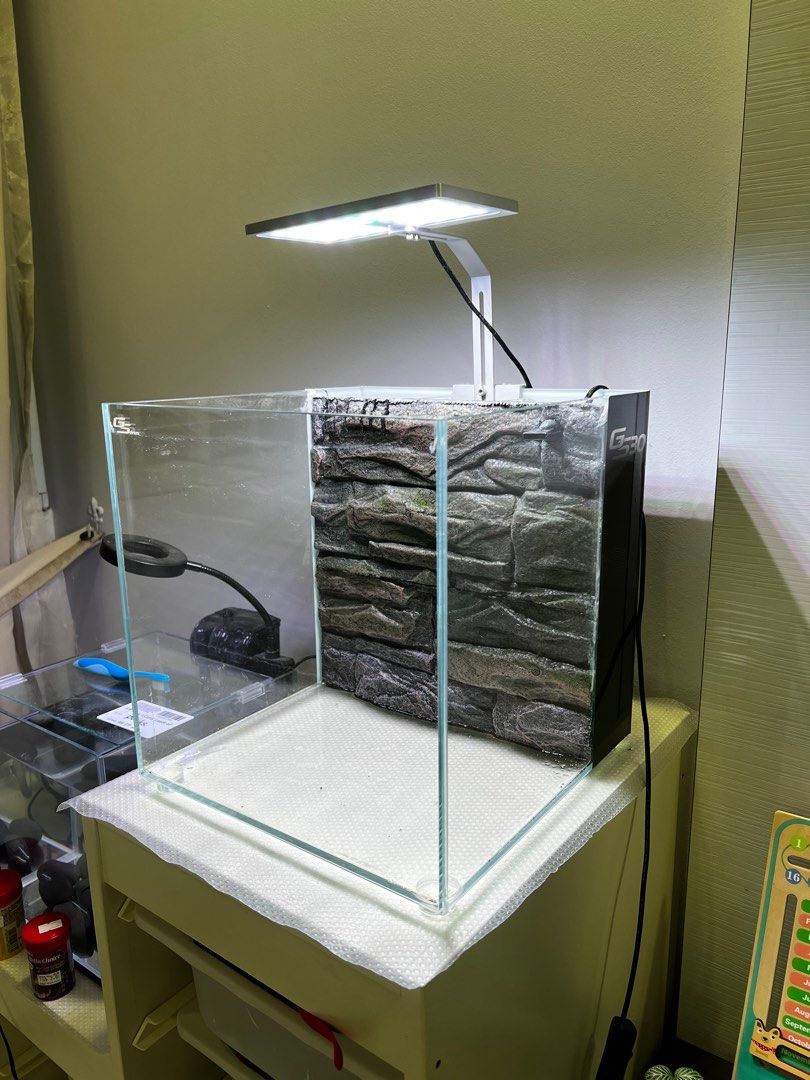DYMAX GS30 series basic aquarium tank, Pet Supplies, Homes & Other Pet ...