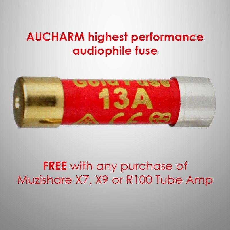 [+FREE Aucharm Fuse NOW] Muzishare X7 KT88 Vacuum Tube Integrated Amp ...