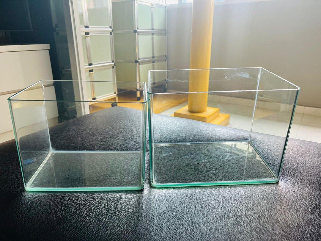 Glass Fish Tanks, Pet Supplies, Homes & Other Pet Accessories on Carousell