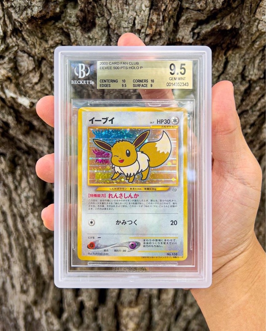 Graded guard for PSA BGS CGC Slabs Pokémon Yu-gi-oh One Piece, Hobbies ...