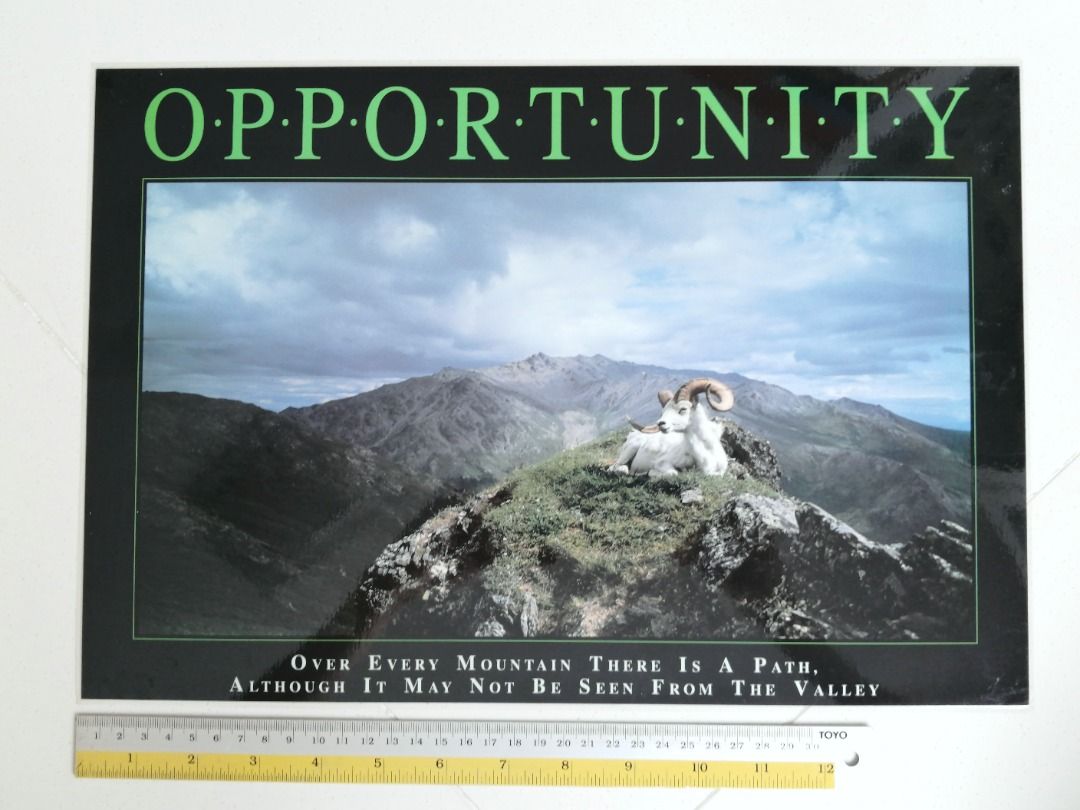 Laminated Poster: OPPORTUNITY .... - Inspirational & Motivational ...