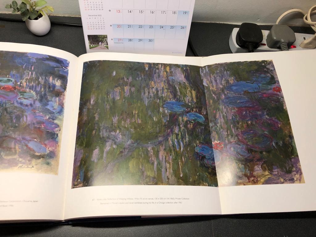 Monet in the 20th Century by Prof Paul Hayes Tucker, Hobbies & Toys ...