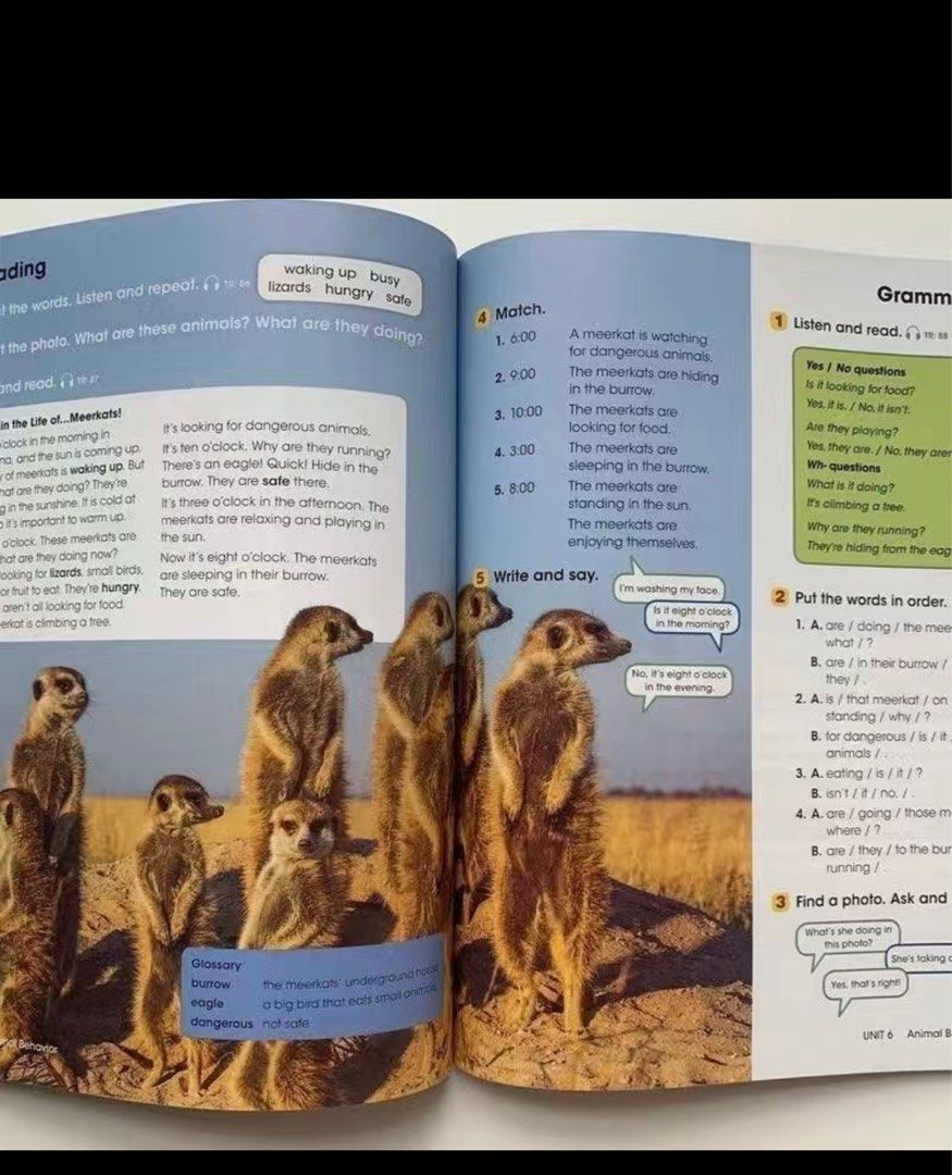National geographic English learning set: Look, Hobbies & Toys, Books ... National geographic English learning set: Look, Hobbies & Toys, Books ...