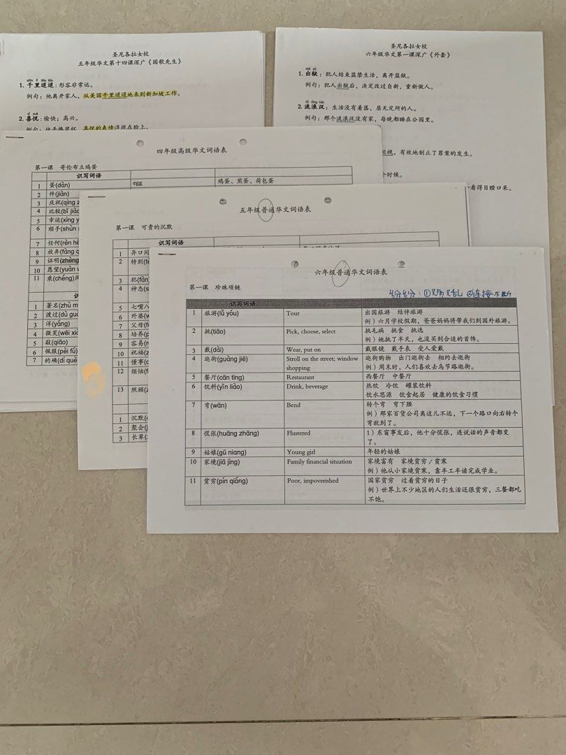 PSlE Chinese Essential Notes and Words, Hobbies & Toys, Books ...