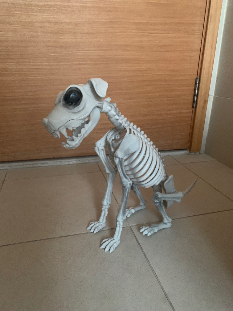 Skeleton dog the corpse bride Halloween prop costume, Hobbies & Toys ...
