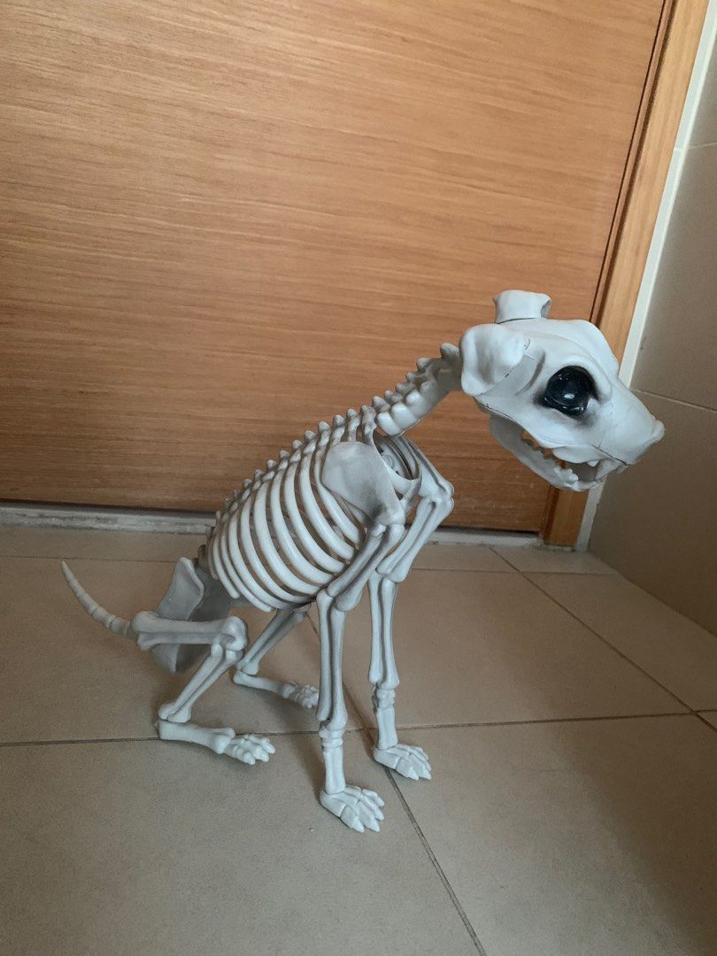 Skeleton dog the corpse bride Halloween prop costume, Hobbies & Toys ...