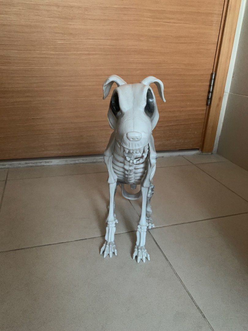 Skeleton dog the corpse bride Halloween prop costume, Hobbies & Toys ...