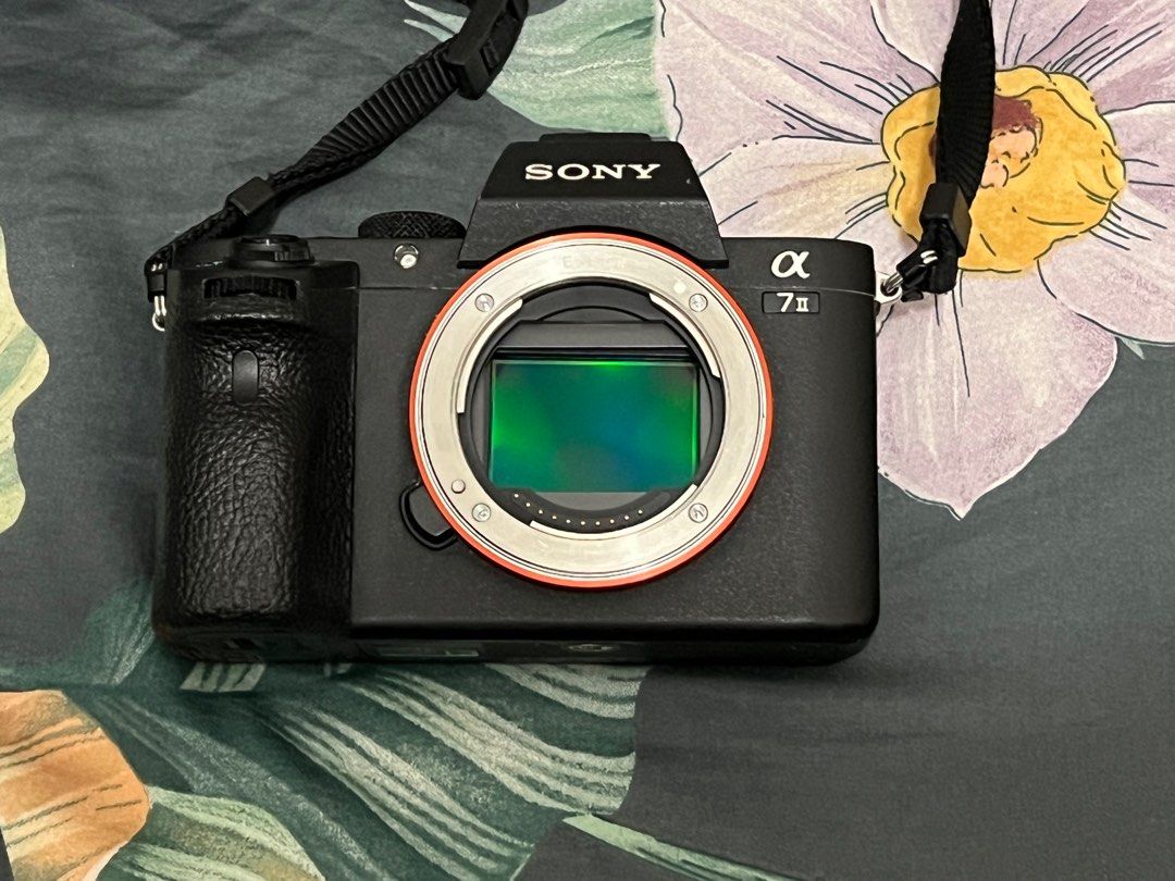 Sony A7M2, 攝影器材, 相機 - Carousell