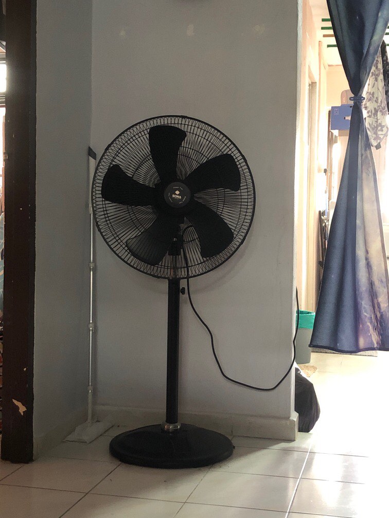 Standing Fan, Furniture & Home Living, Lighting & Fans, Fans on Carousell