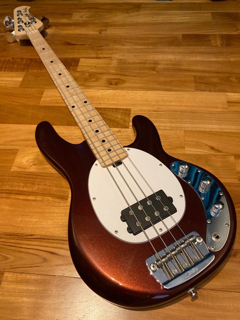 Sterling by MusicMan Short Scale Bass, Hobbies & Toys, Music & Media ...