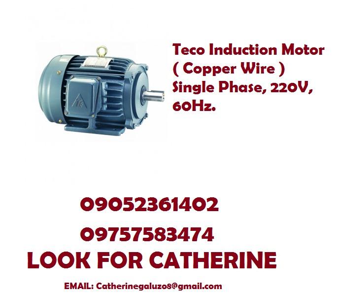 Teco Induction Motor ( Copper Wire ) Single Phase, 220V, 60Hz ...