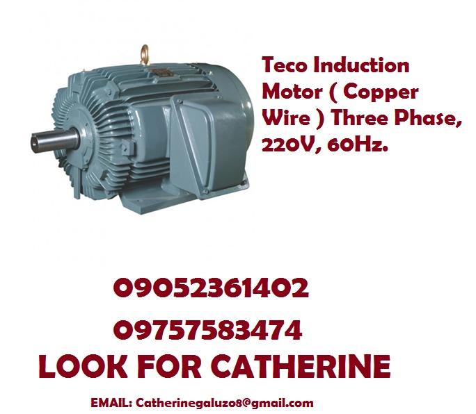 Teco Induction Motor ( Copper Wire ) Three Phase, 220V, 60Hz ...