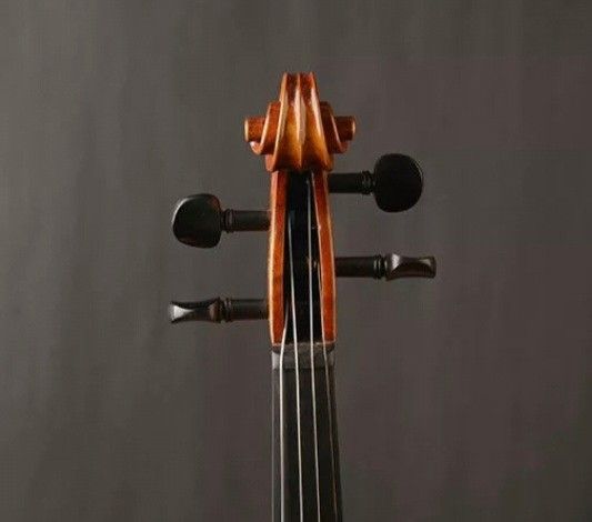 MOVING OUT... "The Dolphine" Stradivari 1714 copy violin [New], Hobbies ...
