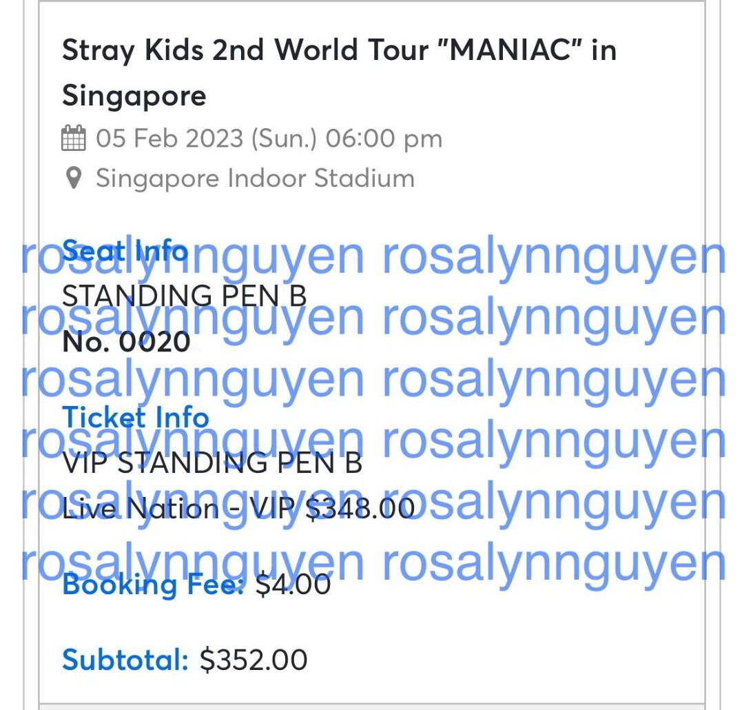 WTS SKZ Stray Kids Maniac in singapore SG concert VIP Standing Pen B ...