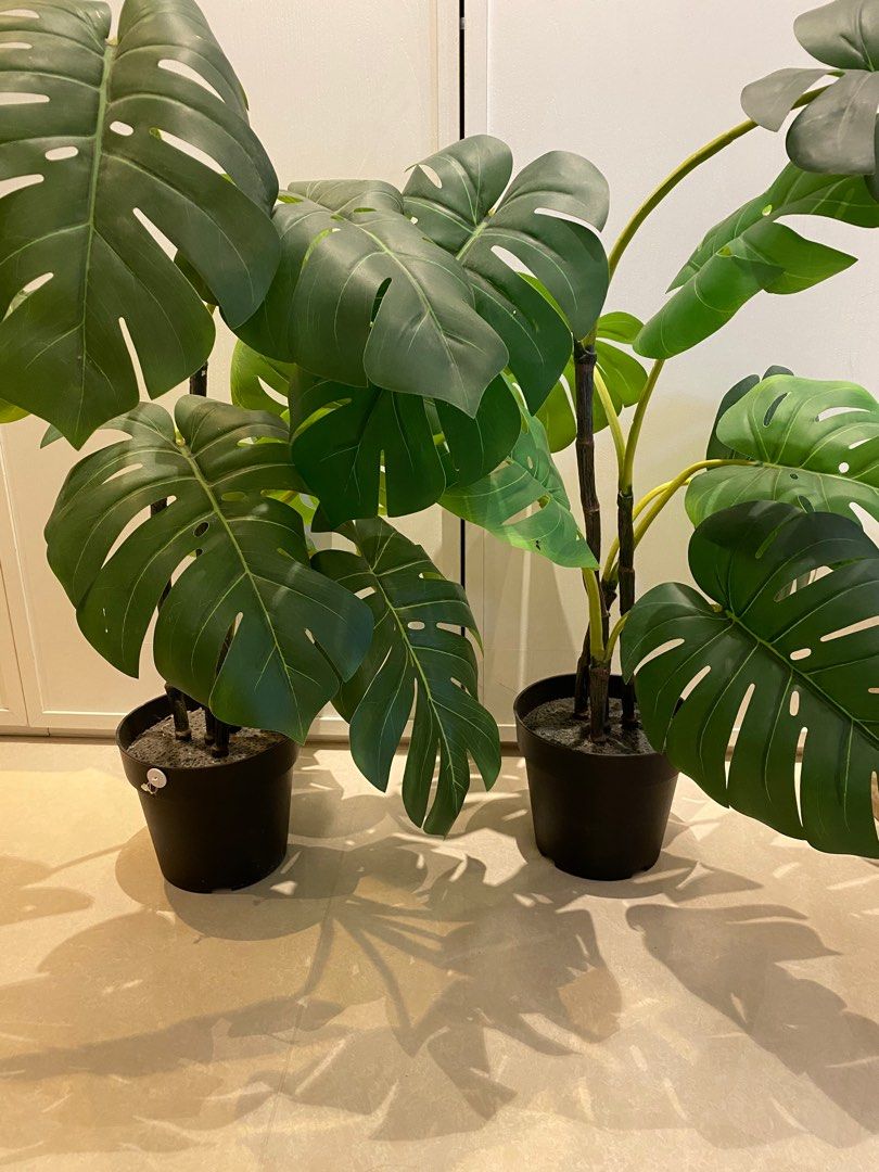 IKEA Fejka Artificial Monstera Potted Plant x 2 - 19 cm, Furniture ...