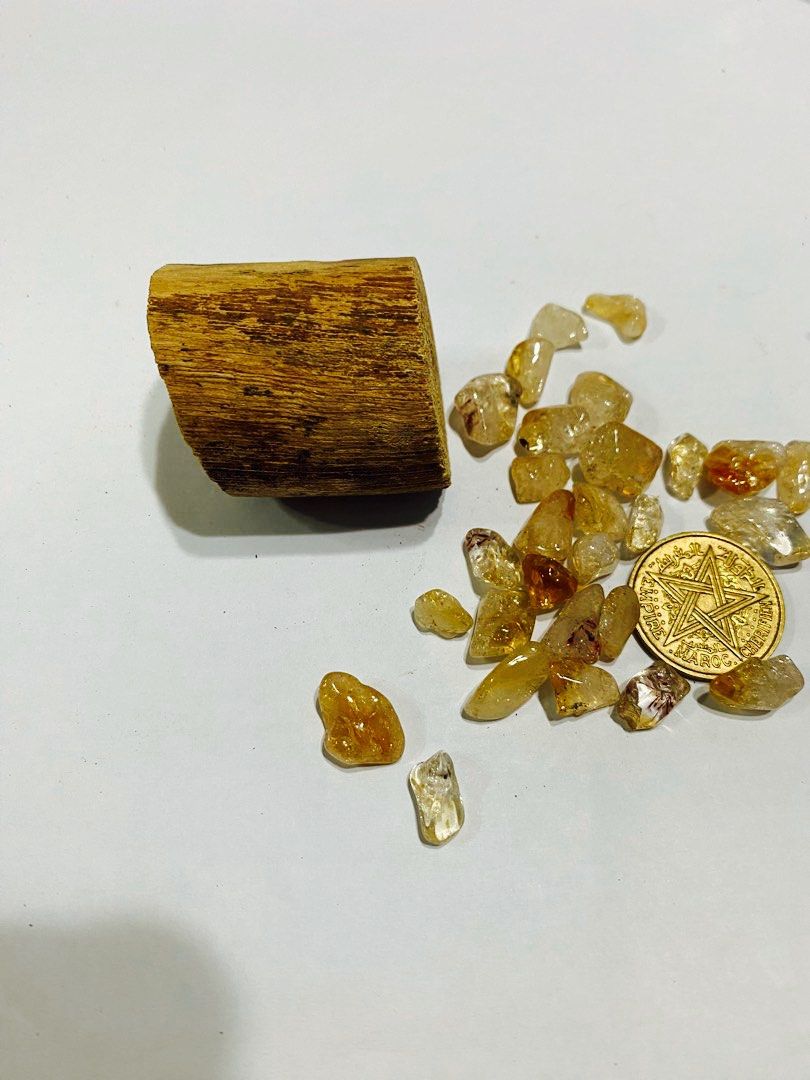 KAYU AJI WINONG JAWA ASLI, Hobbies & Toys, Memorabilia & Collectibles ...