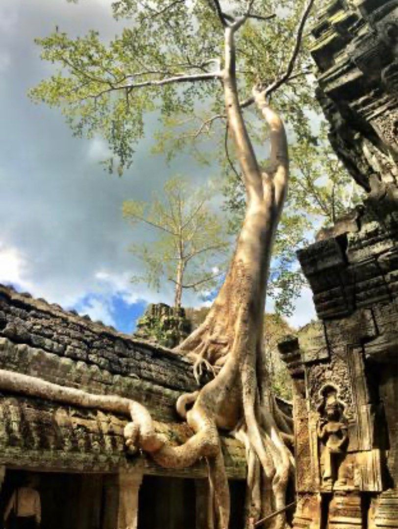 LIONTIN / KEYCHAIN KAYU AJI WINONG JAWA ASLI ( RARE ), Hobbies & Toys ...