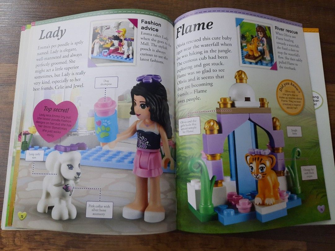 Lego Character Encyclopedia, Hobbies & Toys, Books & Magazines ...