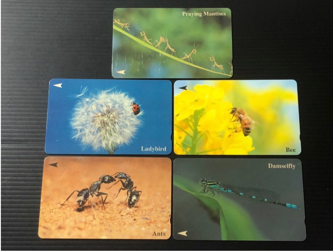 8 Sets Of 5 Singapore Telecom GPT Singtel Used Phonecard(including 1 ...