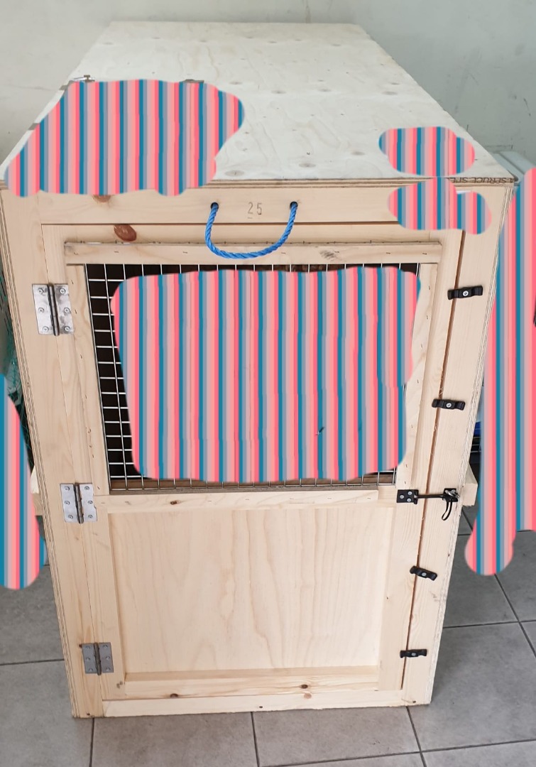 Airline Approved (IATA) Large Wooden crate, Pet Supplies, Homes & Other ...