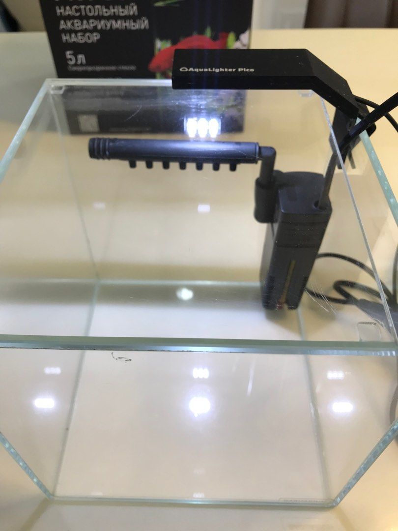 Aqualighter Pico Set Desktop Aquarium (5 litre) 17X17X17cm, Pet ...