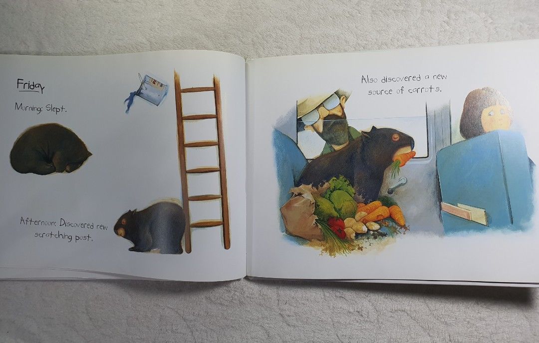 Diary of Wombat, Hobbies & Toys, Books & Magazines, Children's Books on ...