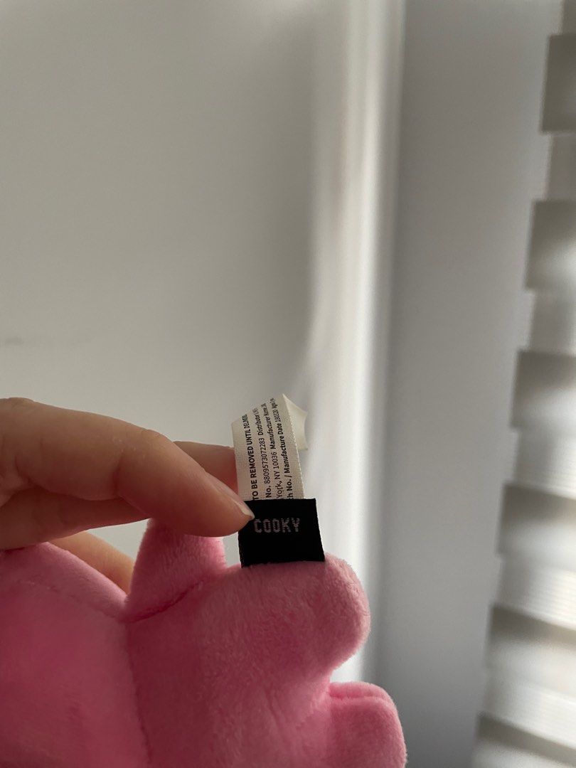 Official BT21 Kookie Plush Keychain, Hobbies & Toys, Memorabilia ...