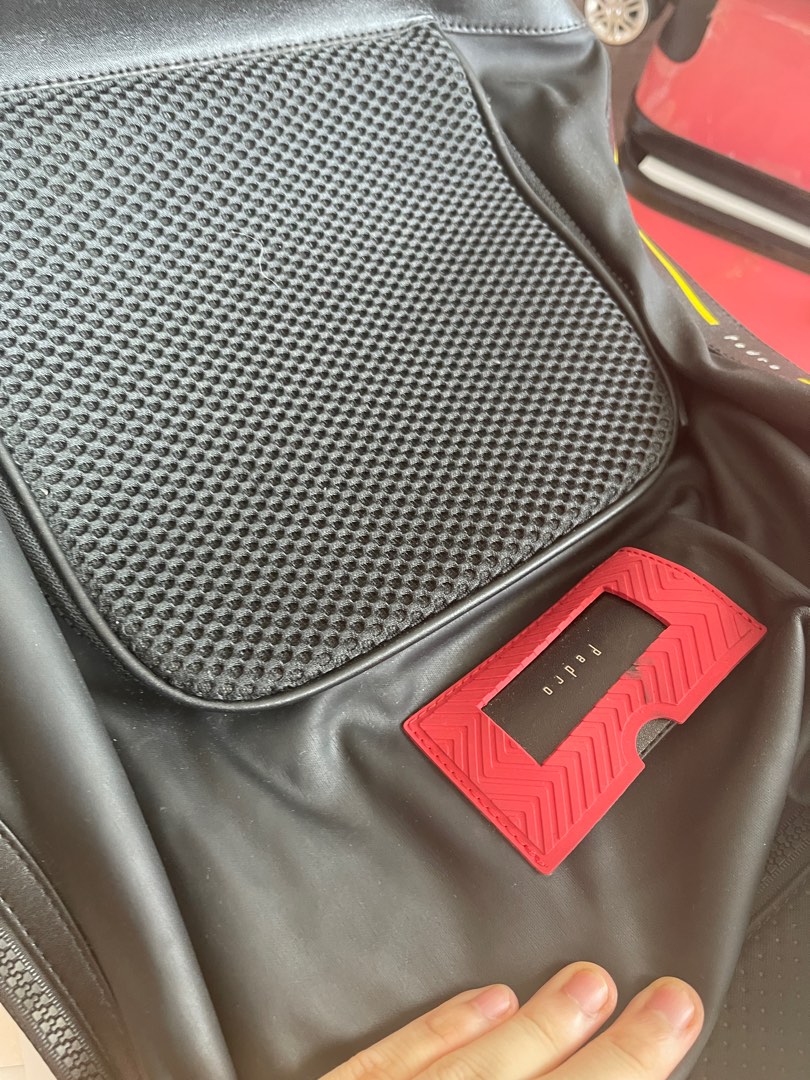 Pedro backpack, Men's Fashion, Bags, Backpacks on Carousell