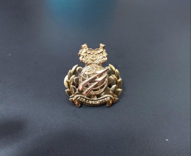 Rsaf air engineering logistics aelo gold badge collection, Hobbies ...