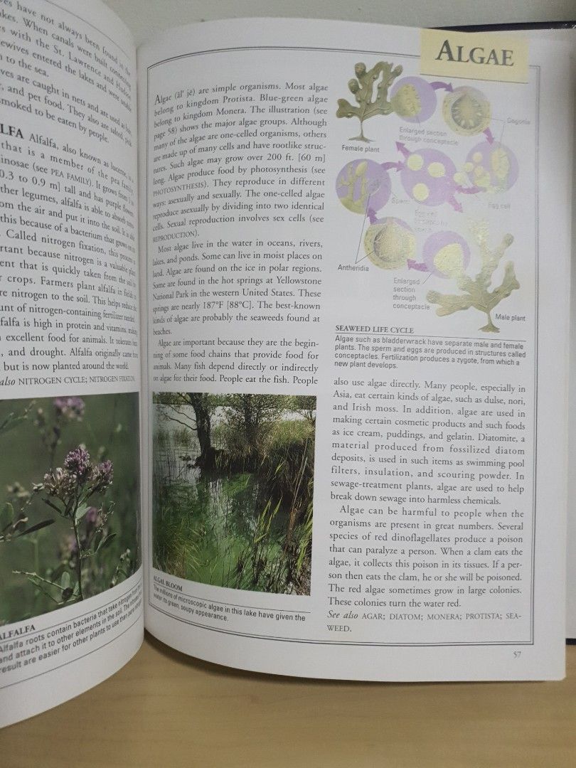 Science encyclopedia set, Hobbies & Toys, Books & Magazines, Fiction ...