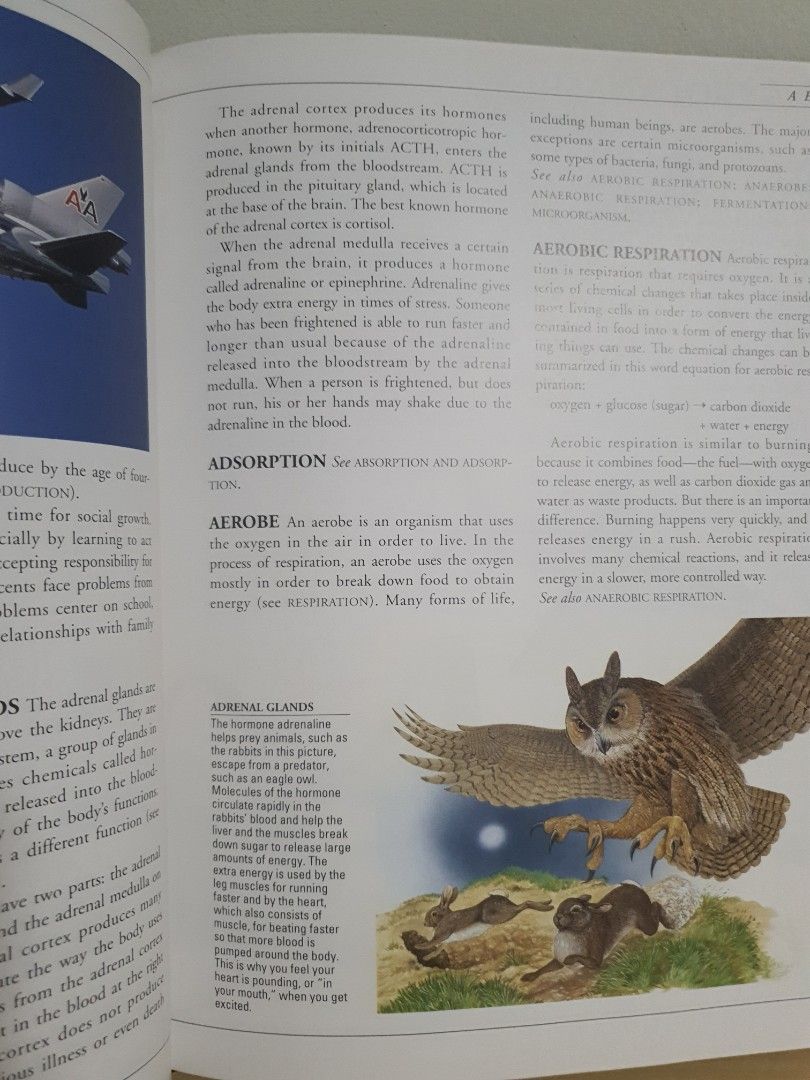 Science encyclopedia set, Hobbies & Toys, Books & Magazines, Fiction ...
