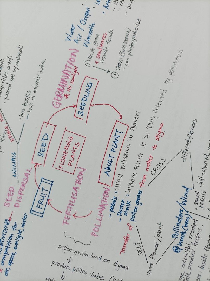 Science notes, Lifestyle Services, Others on Carousell