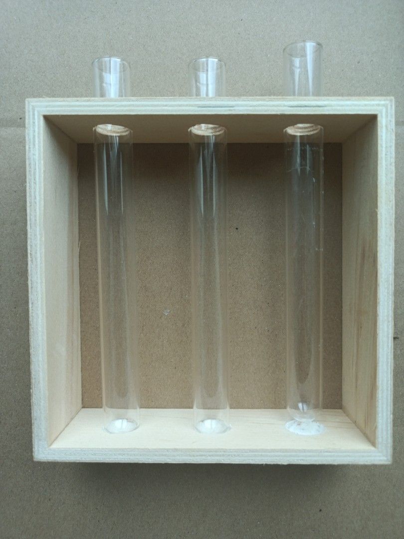 Test tubes with wooden rack, Hobbies & Toys, Stationery & Craft, Other ...