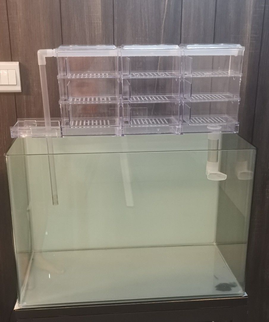 2Ft Fish Tank Trickle Box Filter Set (Drip Box), Pet Supplies, Homes ...