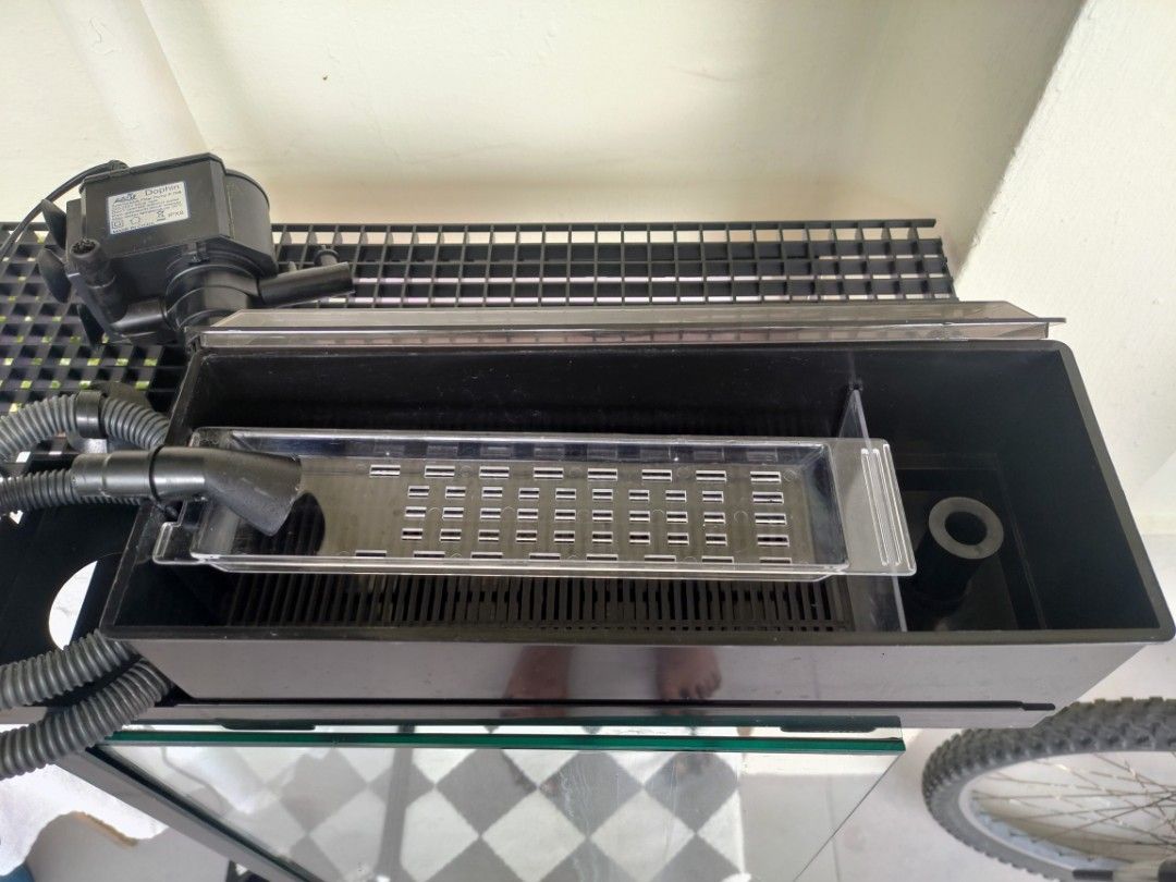 2ft tank overhead filter and pump set, Pet Supplies, Homes & Other Pet ...