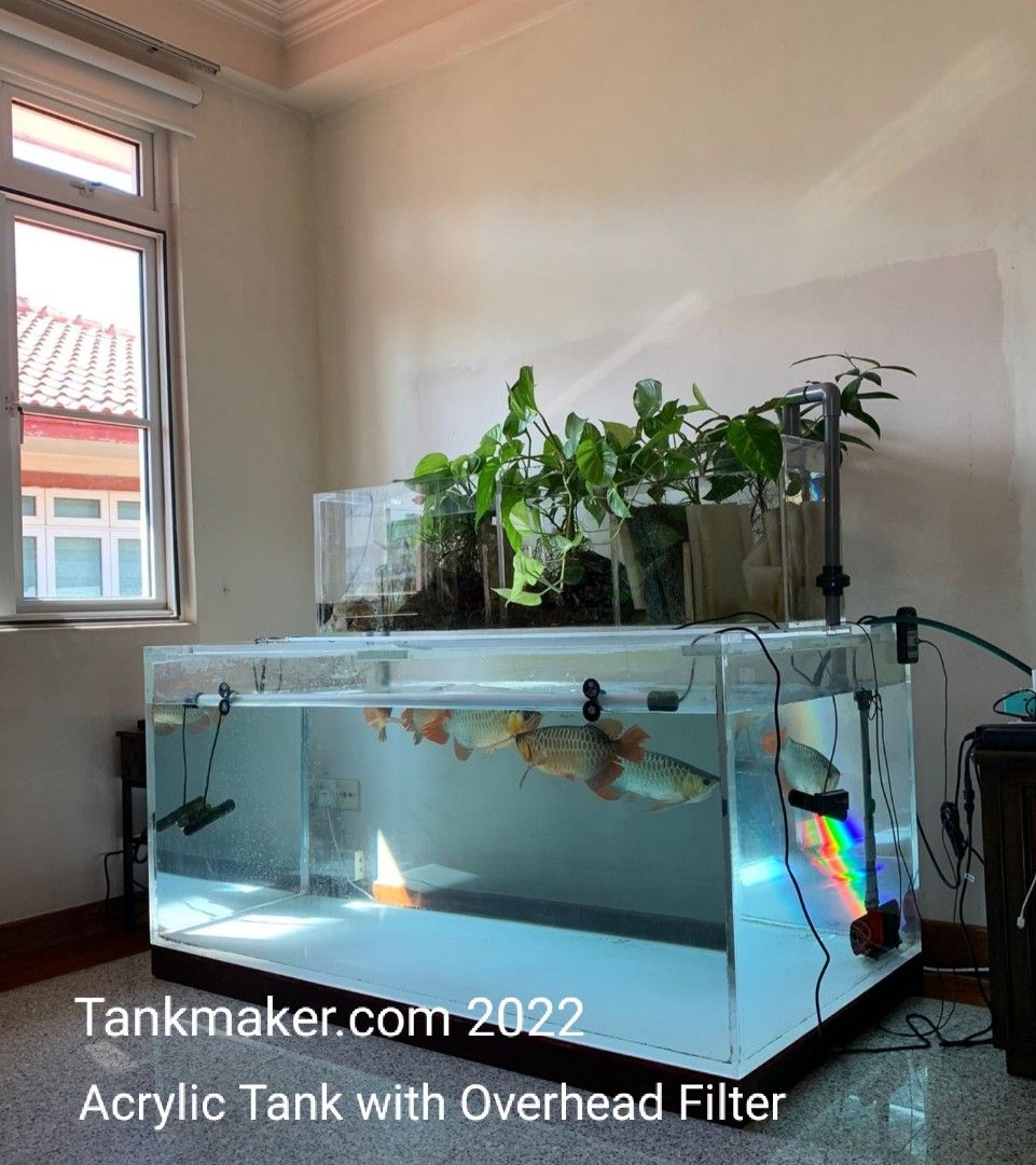 300 gallon Acrylic Fish Tank with Overhead Filter, Pet Supplies, Homes ...