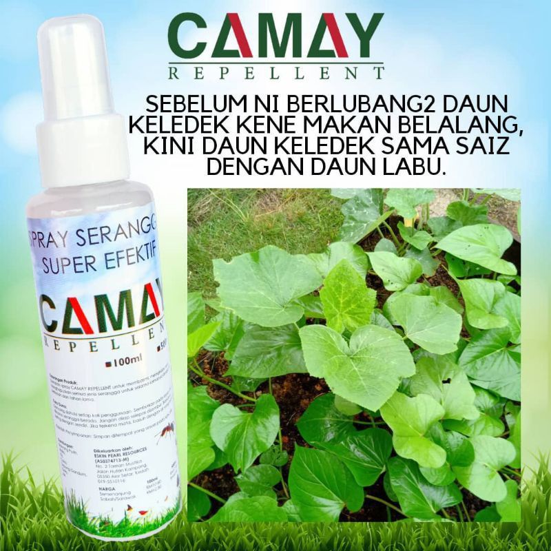 ( 200ml ) SPRAY SERANGGA NATURAL BASMI PEROSAK TANAMAN POKOK, Furniture ...