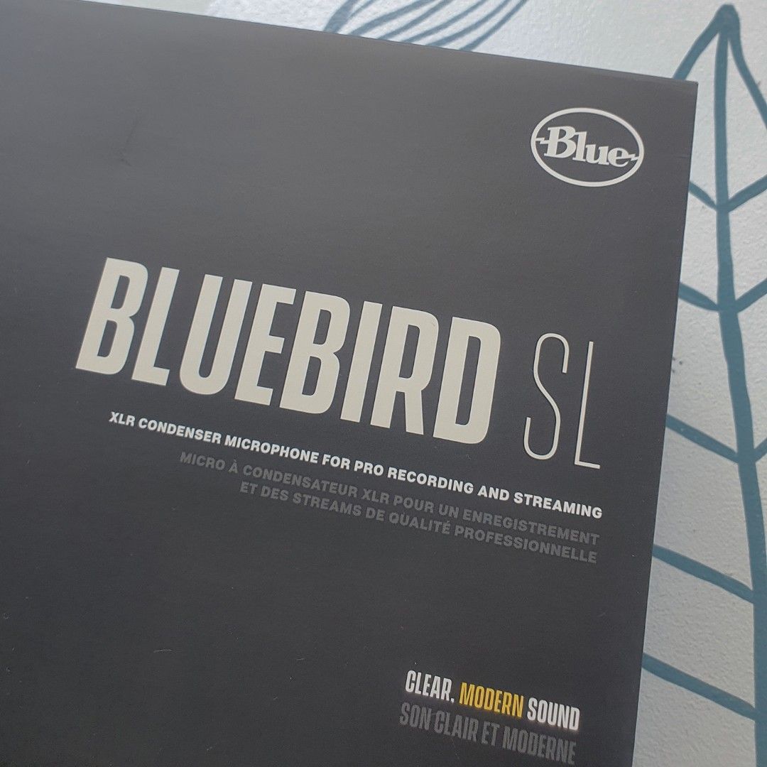 Bluebird SL, Audio, Microphones on Carousell