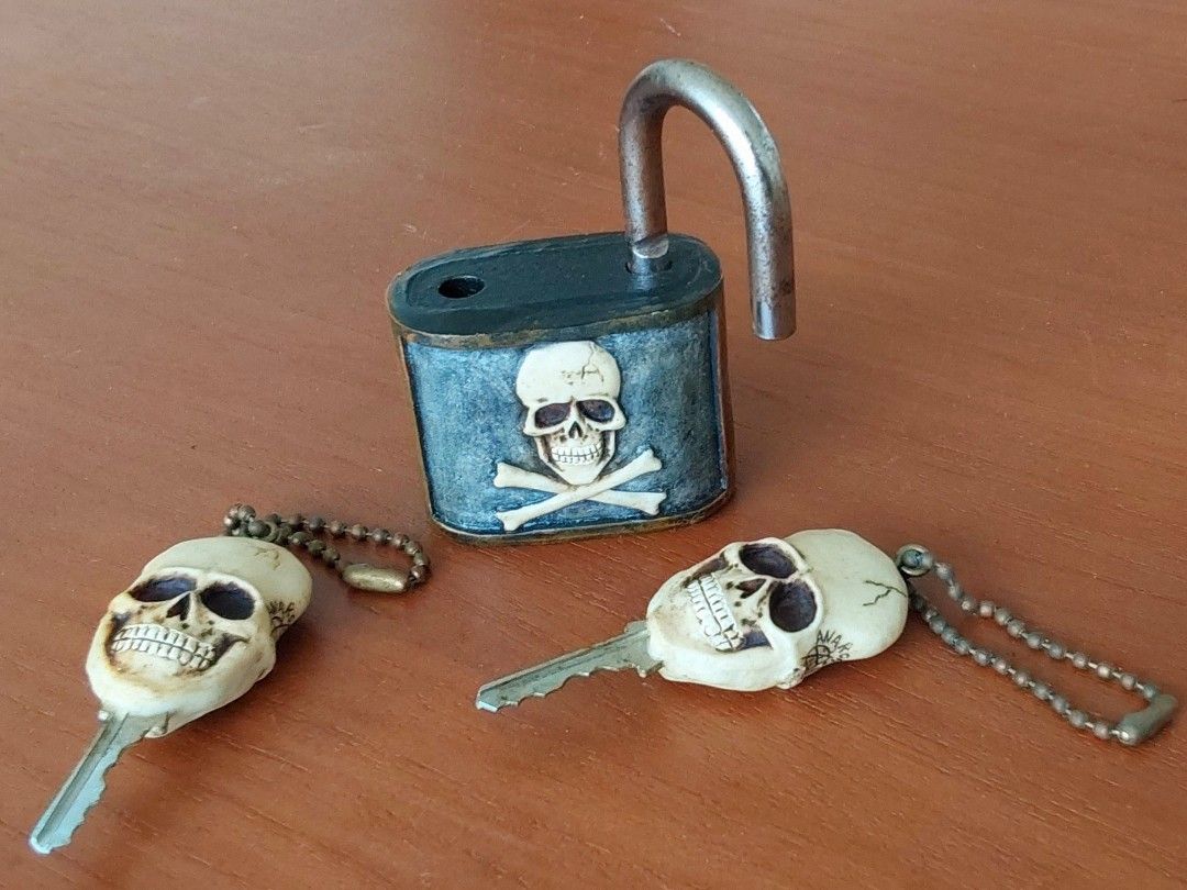 Custom skull lock, Furniture & Home Living, Security & Locks, Locks ...