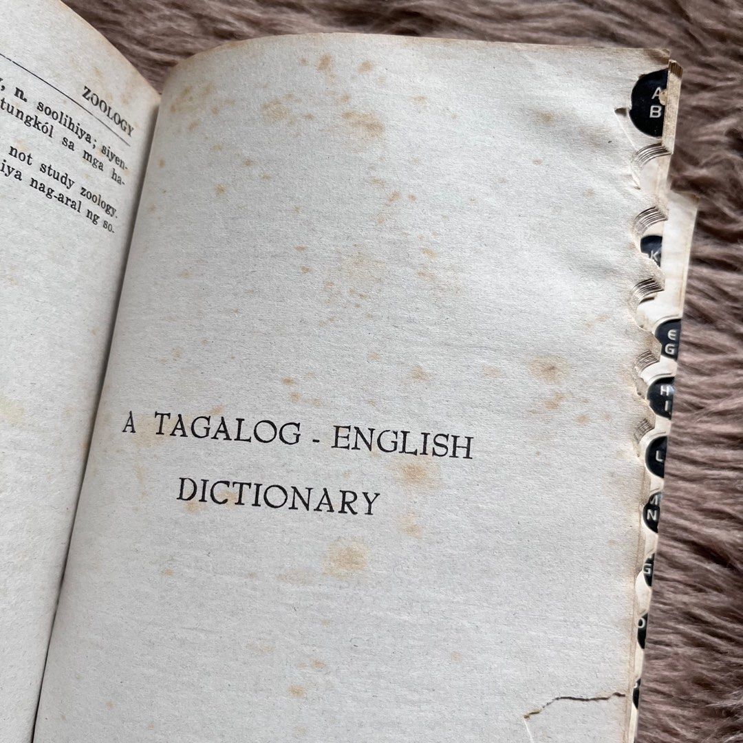 Dictionary - Thesaurus/Grammar & Usage, Hobbies & Toys, Books ...