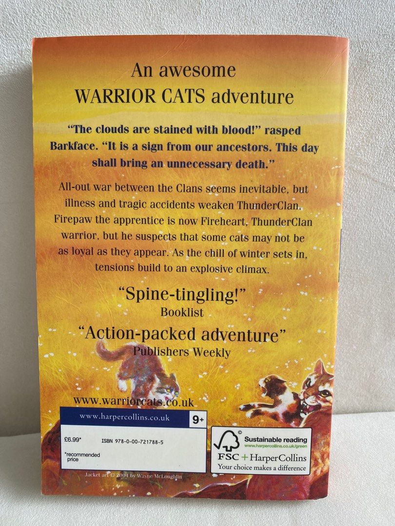 Fire And Ice - “Warrior Cats” series by Eric Hunter, Hobbies & Toys ...
