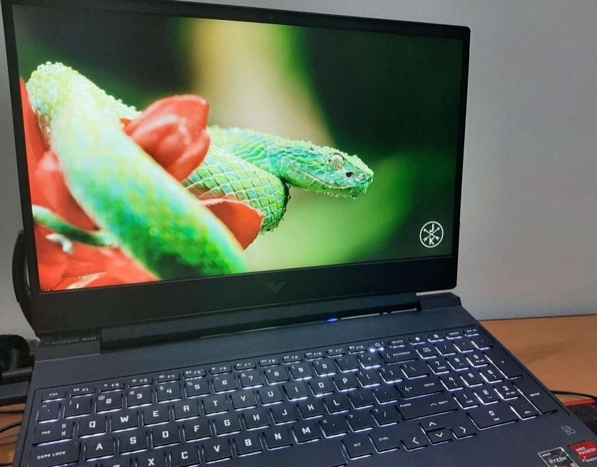 HP Victus Ryzen 5 5600H, Radeon RX6500M (Similar to RTX3050), Computers ...