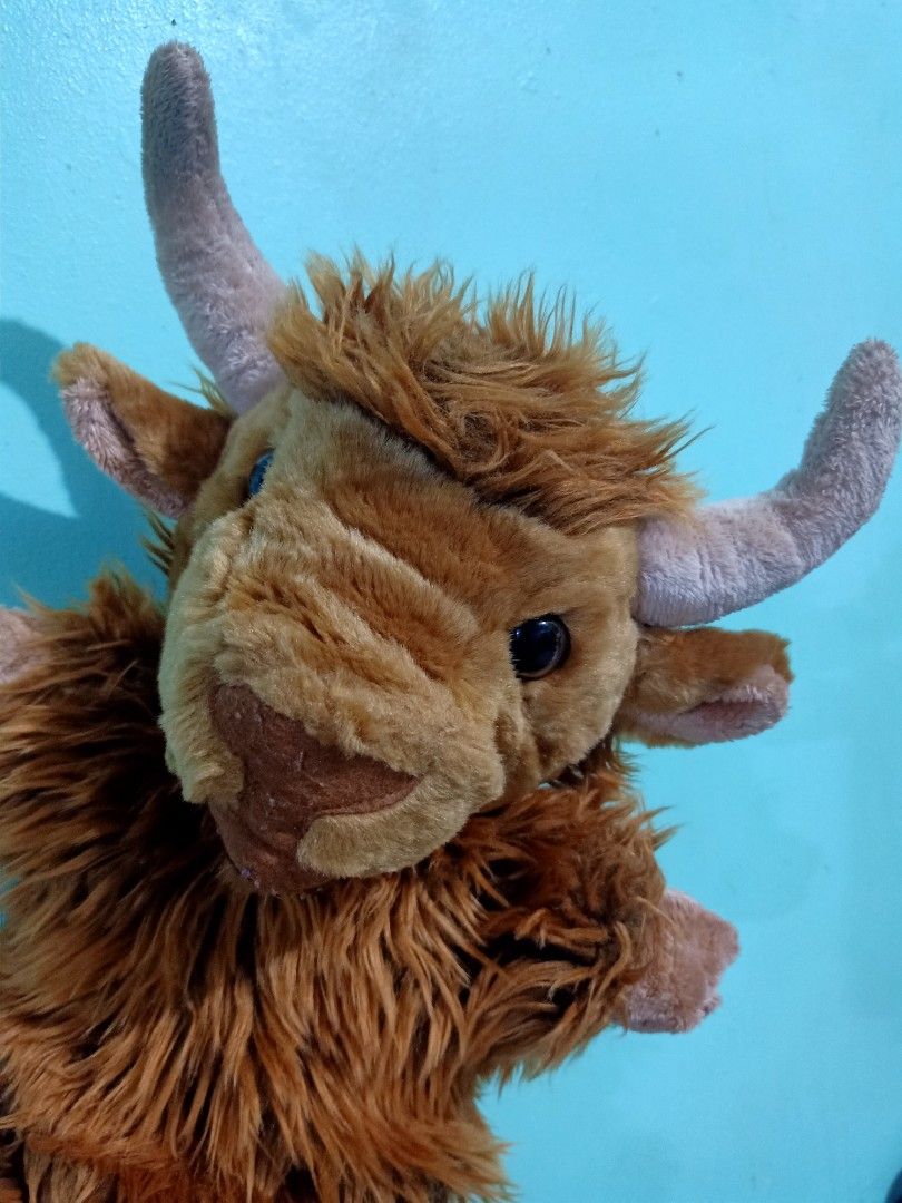 REALISTIC BUFFALO HAND PUPPET, Hobbies & Toys, Toys & Games on Carousell