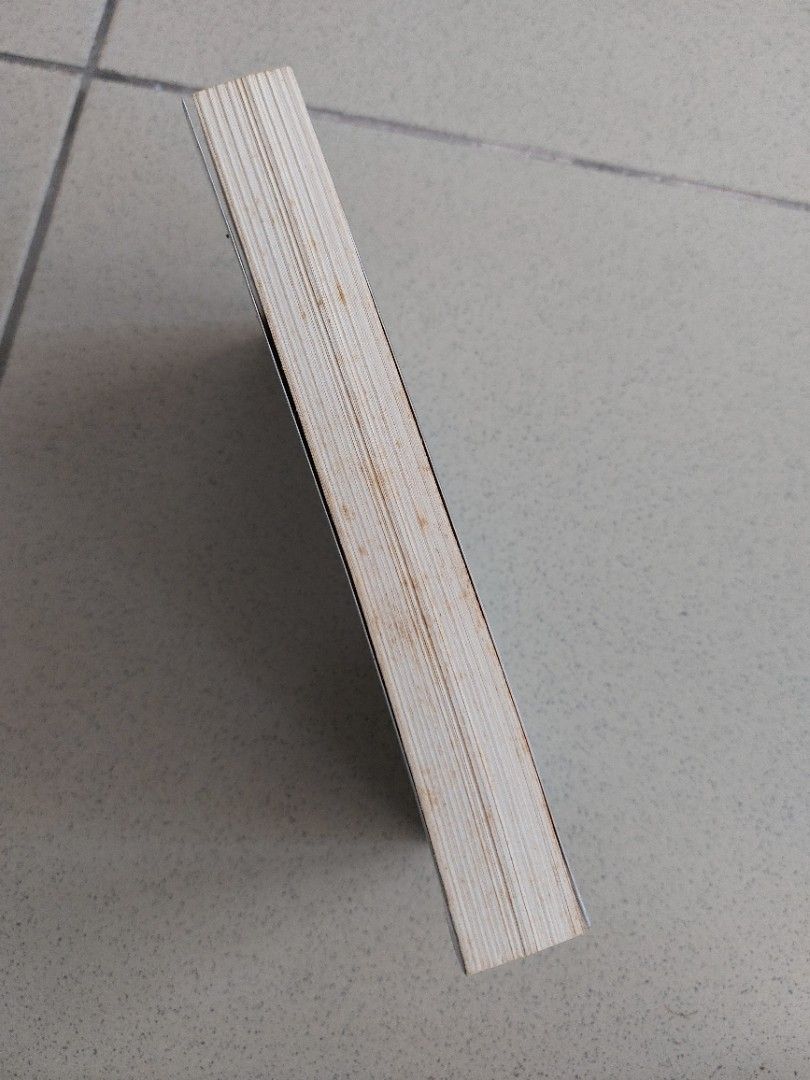 Sherlock Holmes: The Moonstone's Curse, Hobbies & Toys, Books ...