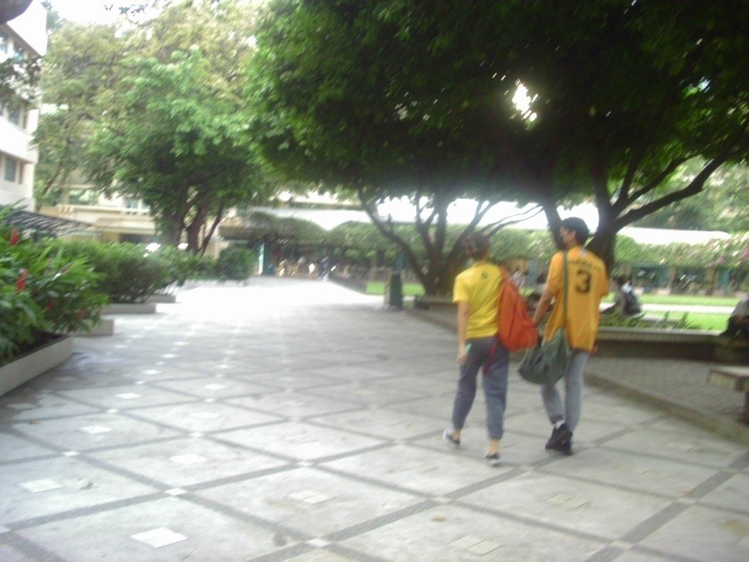 Vivitar Vivicam T328, Photography, Cameras on Carousell