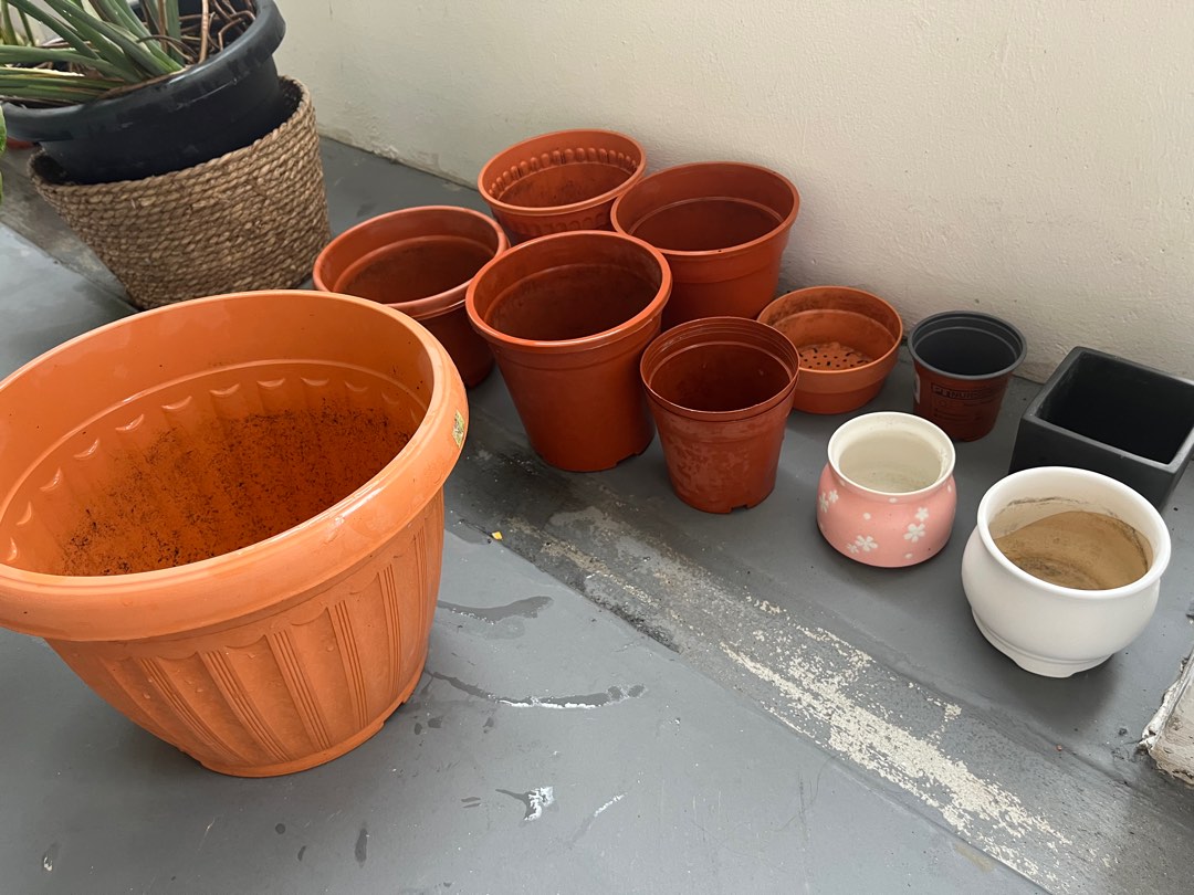 Assorted Pots, Furniture & Home Living, Gardening, Pots & Planters on ...