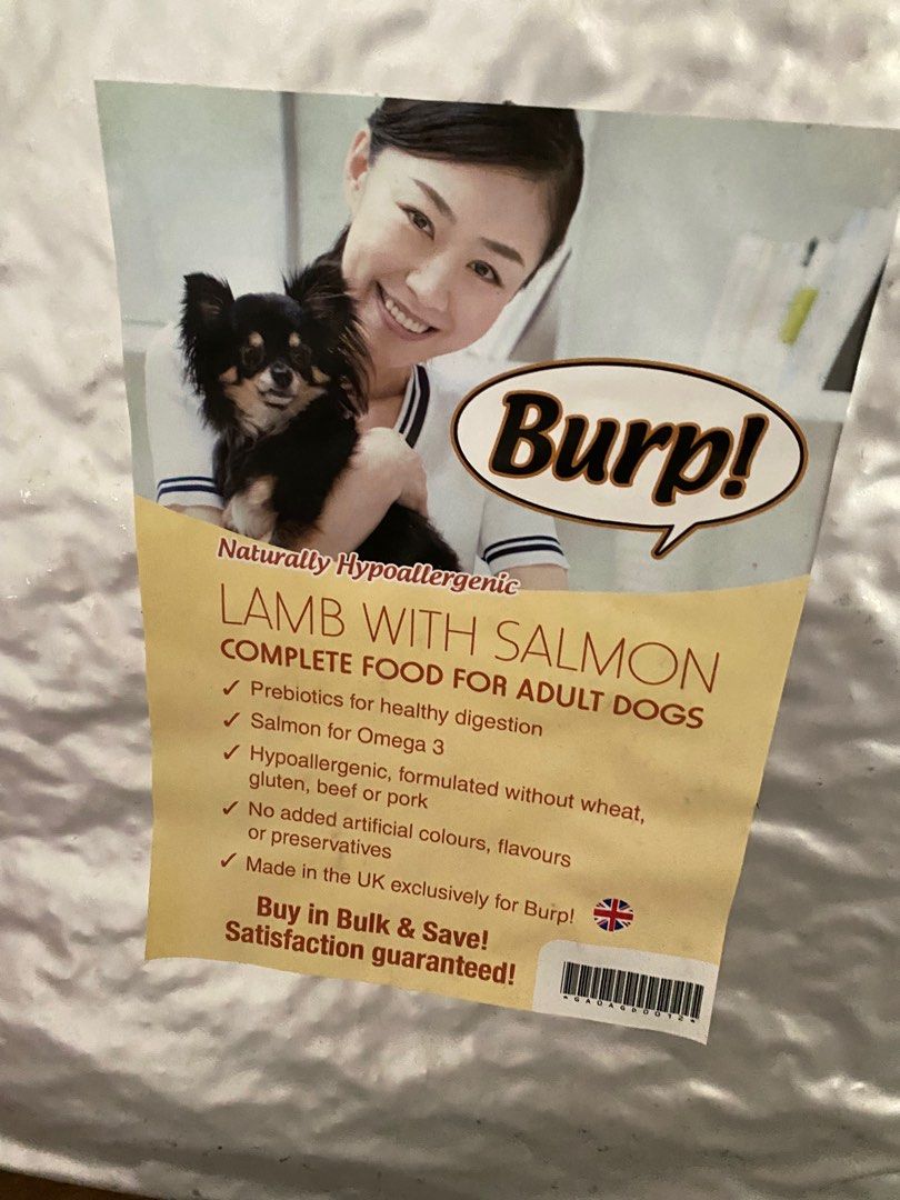 Why Does My Puppy Burp After Eating
