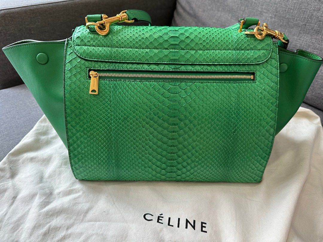 Celine Trapeze full leather python and calfskin, Luxury, Bags & Wallets ...